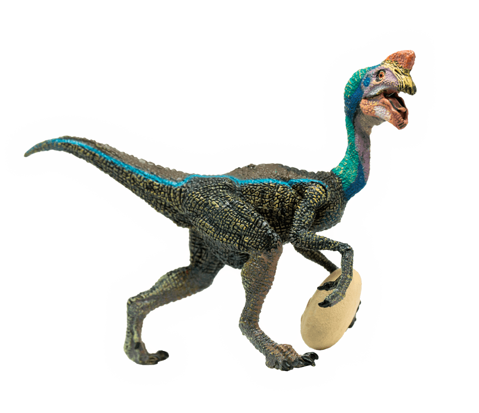 Los Dinosaurios Dinosaurs Tour Los Dinosaurios Dinosaurs Tour